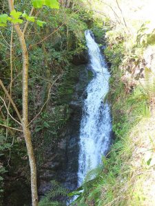 More Cow Bell - Prime Passages