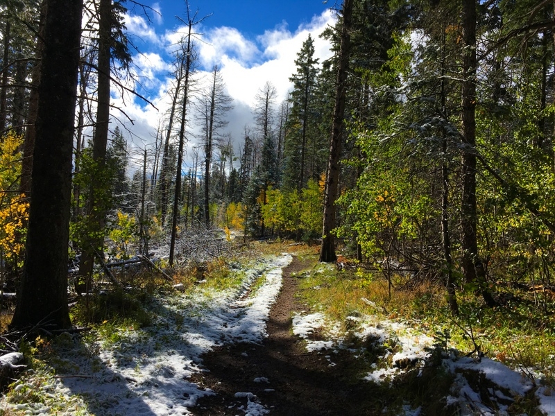 Autumn Leaves in the Southern Rockies - Prime Passages