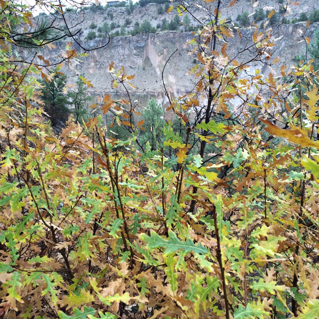 Geocache Hiking - Prime Passages